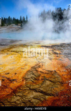 North America, Wyoming, Yellowstone National Park, Upper Geyser Basin ...