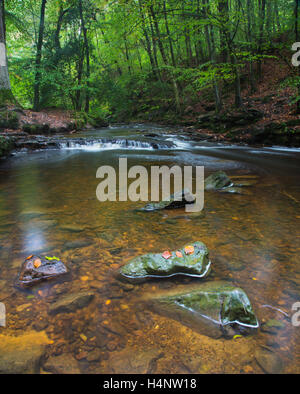 May Beck above Falling Foss near Whitby, North Yorkshire, North York ...