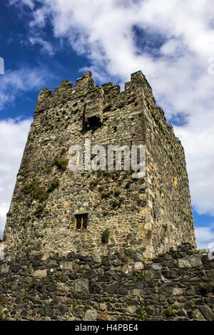 Co Down, Narrow Water, Narrow Water Castle, Ireland Stock Photo - Alamy