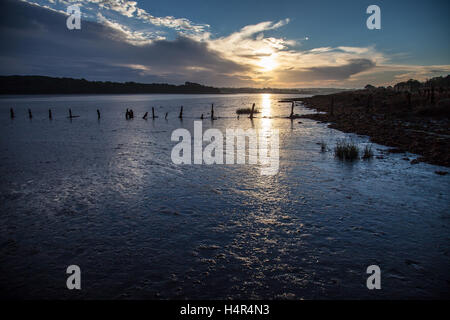 Cleddau Estuary near Hook, Pembrokeshire, Wales, UK Stock Photo - Alamy