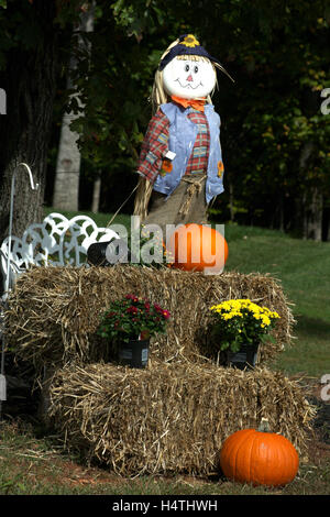 An autumn decoration with pumpkins, flowers and scarecrow Stock Photo ...