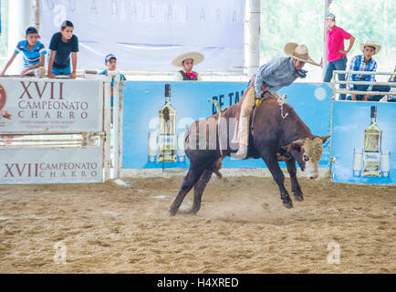 Charro Participates in a bull riding Competition at the 23rd ...