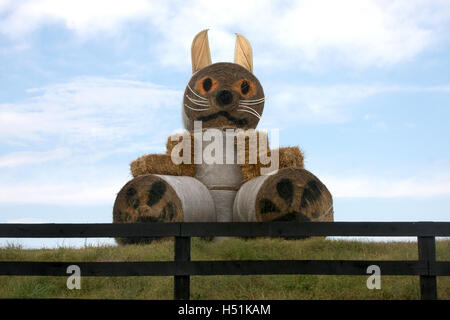 Hay bale bunny Stock Photo - Alamy