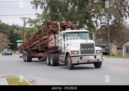 Pine tree logs being moved by logging trucks Stock Photo - Alamy