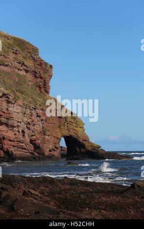 Rock arch in Maw Skelly headland Angus Scotland October 2016 Stock ...