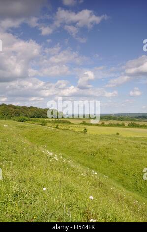 View of the iron age fort at Badbury Rings near Kingston Lacy, Dorset ...