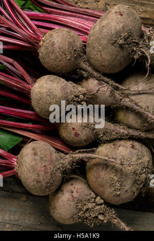 Young raw red beets roots with leaves, new harvest Stock Photo - Alamy