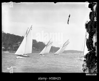 The image shows sloops racing, likely at the Pittwater Regatta, a ...