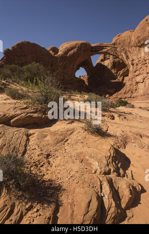 Double Arch in Arches National Park, Moab, Utah, USA, North America ...