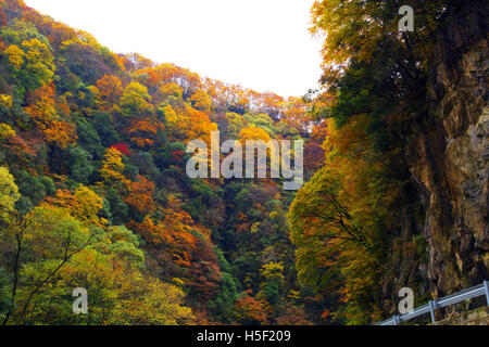 Bazhong, Bazhong, China. 19th Oct, 2016. Bazhong, CHINA-October 19 2016 ...
