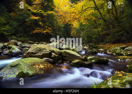 Bazhong, Bazhong, China. 19th Oct, 2016. Bazhong, CHINA-October 19 2016 ...
