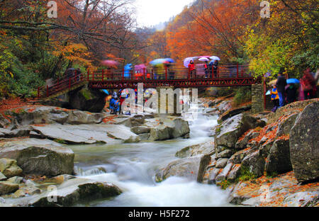 Bazhong, Bazhong, China. 19th Oct, 2016. Bazhong, CHINA-October 19 2016 ...