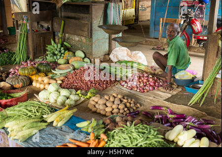 Store in Jaffna market, Jaffna, Sri Lanka Stock Photo - Alamy