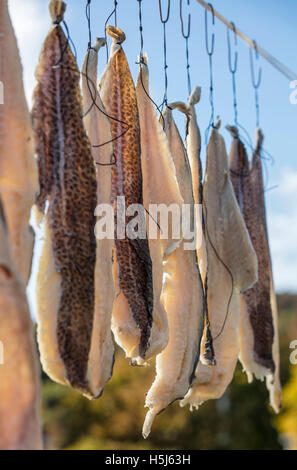 drying codfish, salted fish, salted food, food preservation, Acadian ...
