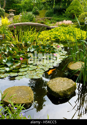 JAPANESE GARDEN POOL IN SUMMER Stock Photo - Alamy