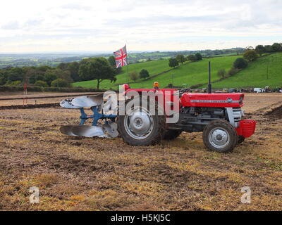 Tractor flying Union Jack flag on a farm with rolling Derbyshire ...