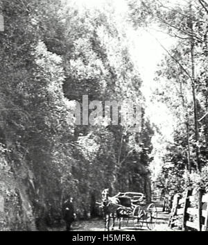 This historical photograph shows Bulli Road and the Bulli Pass, near ...