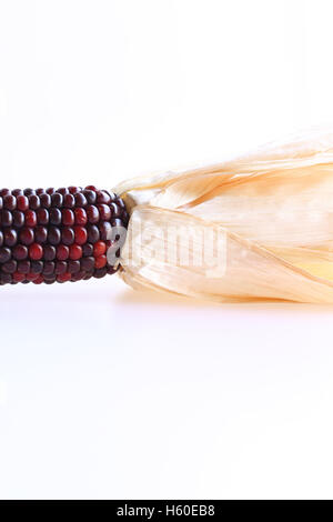 Heirloom Red Corn Stock Photo - Alamy