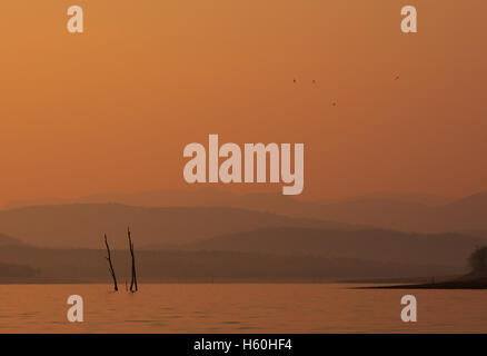 A beautiful morning at Bhadra Backwater (Karnataka India Stock Photo ...