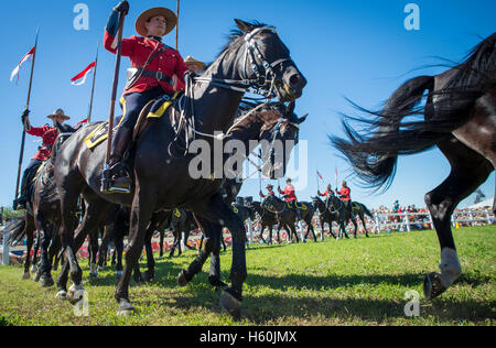 Mountie in red ceremonial uniform on black RCMP horse on the lawn in ...