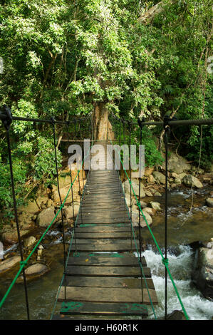 Kirindi Oya River, Ella Junge Resort, Ella, Sri Lanka Stock Photo - Alamy