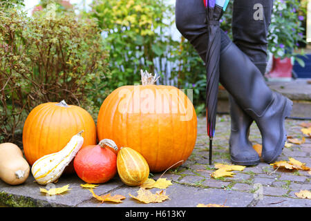 Welcome fall Pumpkins Background Stock Photo - Alamy