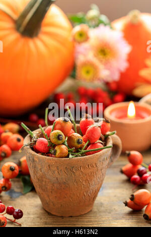Pot with beautiful chrysanthemum flowers and pumpkins on table near ...
