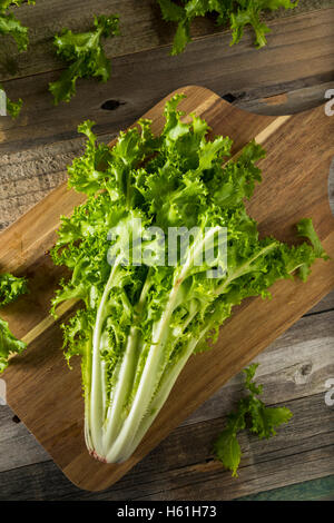fresh bunch of curly endive lettuce isolated Stock Photo - Alamy
