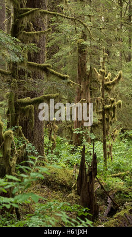 Olympic National Park in Washington State features diverse ecosystems ...
