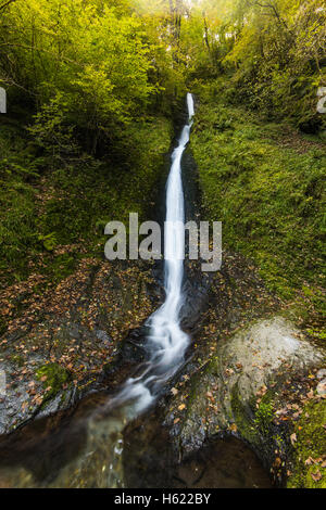 White Lady waterfall in Lydford Gorge, UK in autumn scenery Stock Photo ...