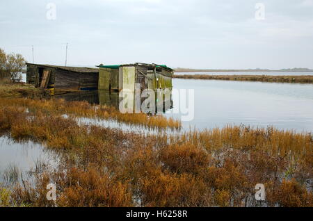 Scenic view of an old swamp shack on stilts in Caddo Lake, on the Texas ...