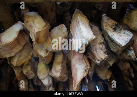 Hakarl, rotten shark meat, Iceland Stock Photo - Alamy