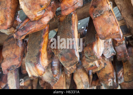 Hákarl, national dish of fermented Greenland shark (Somniosus ...