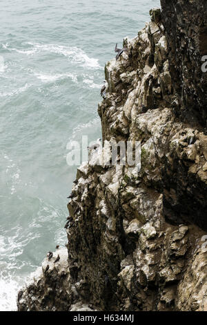 Cliffs in Cerro Azul. Pacific Ocean. Peru Stock Photo - Alamy