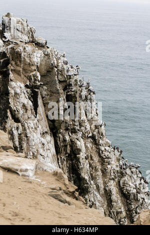 Cliffs in Cerro Azul. Pacific Ocean. Peru Stock Photo - Alamy