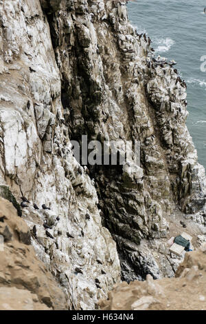 Cliffs in Cerro Azul. Pacific Ocean. Peru Stock Photo - Alamy