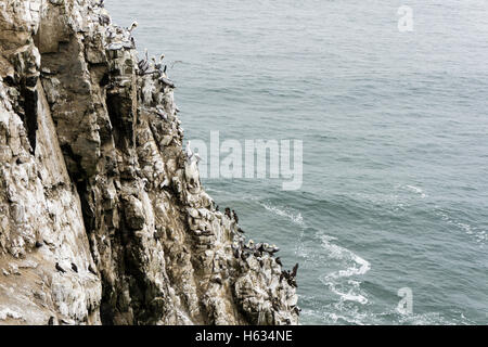 Cliffs in Cerro Azul. Pacific Ocean. Peru Stock Photo - Alamy