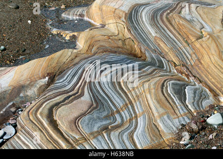 Folds and stratification in colourful rock outcrops on Spittal Beach ...