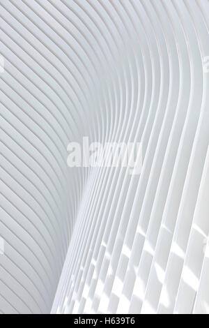 Detail of steel rib frame. The Oculus, World Trade Center ...
