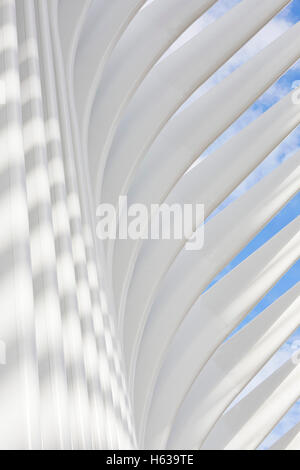 Detail of steel rib frame. The Oculus, World Trade Center ...