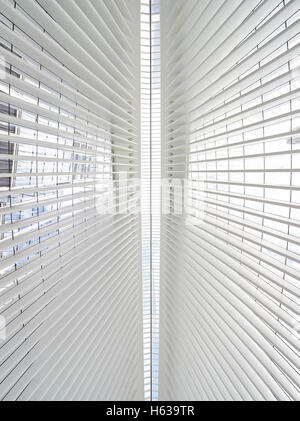 Detail of steel rib frame. The Oculus, World Trade Center ...