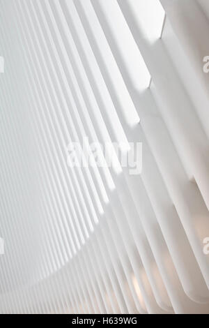 Sinuous detail of white steel rib facade. The Oculus, World Trade ...
