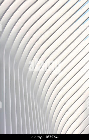 Sinuous detail of white steel rib facade. The Oculus, World Trade ...