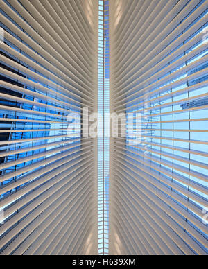Abstract detail of white steel rib facade. The Oculus, World Trade ...
