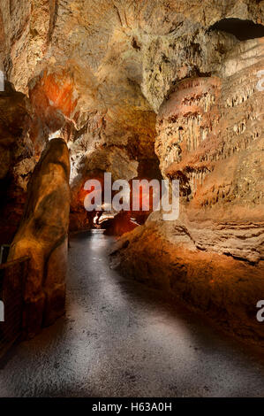 Kent's Cavern, Torquay Devon Geopark Exhibition Display Stock Photo - Alamy
