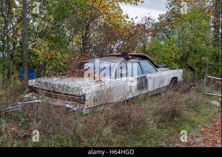 rusty old Lincoln car and Ford truck in a junk yard in the desert in ...
