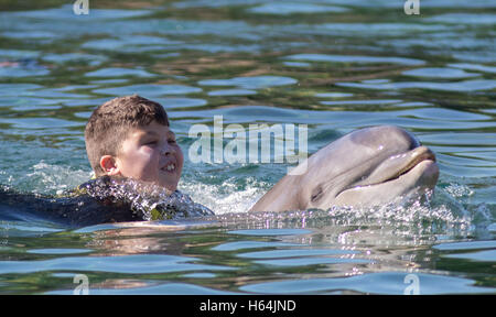 Jacob Isherwood, 11, from Barnsley, enjoys a swim with a dolphin during ...