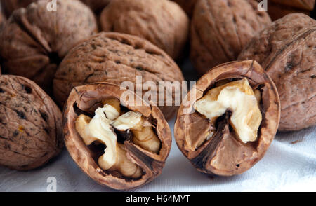 Delicious fresh peeled raw walnuts in a ceramic plate Stock Photo - Alamy
