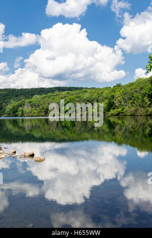 Lake Welch in Harriman State Park in winter view into the forest Stock ...