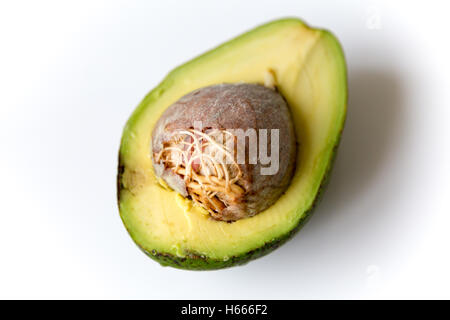 Brazilian avocado (Portuguese: abacate) split fruit with seed, root and ...